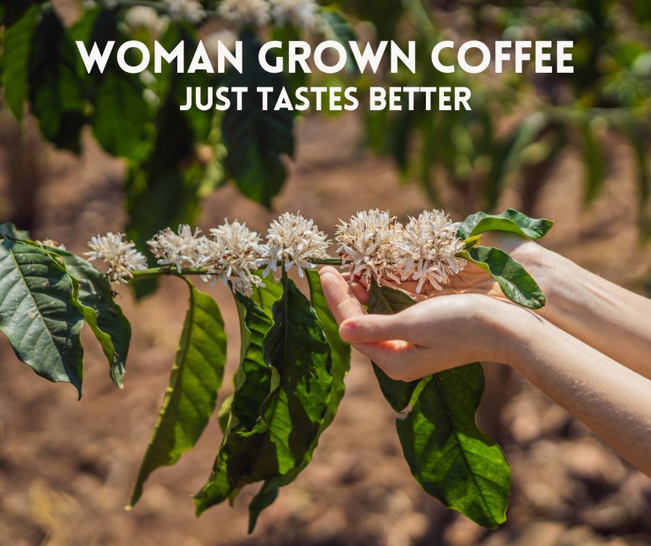 Why woman-grown coffee just tastes better and why we support these wom ...