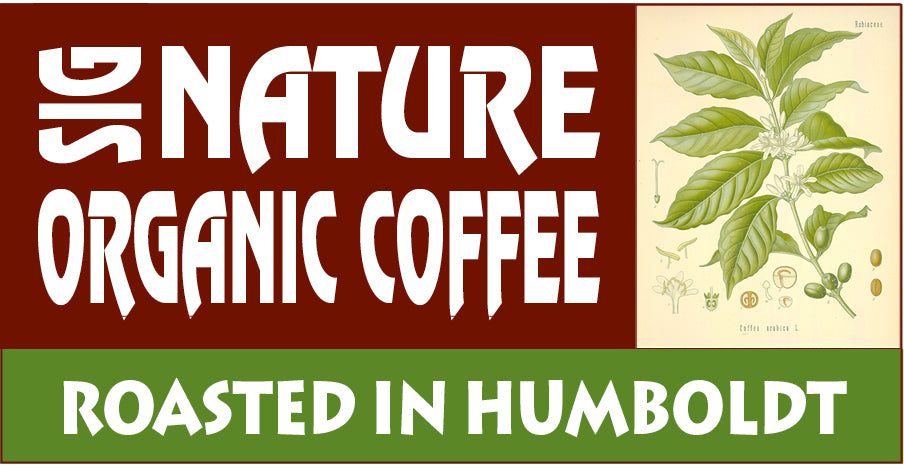 Our Roastery and Coffee Bar – Signature Organic Coffee