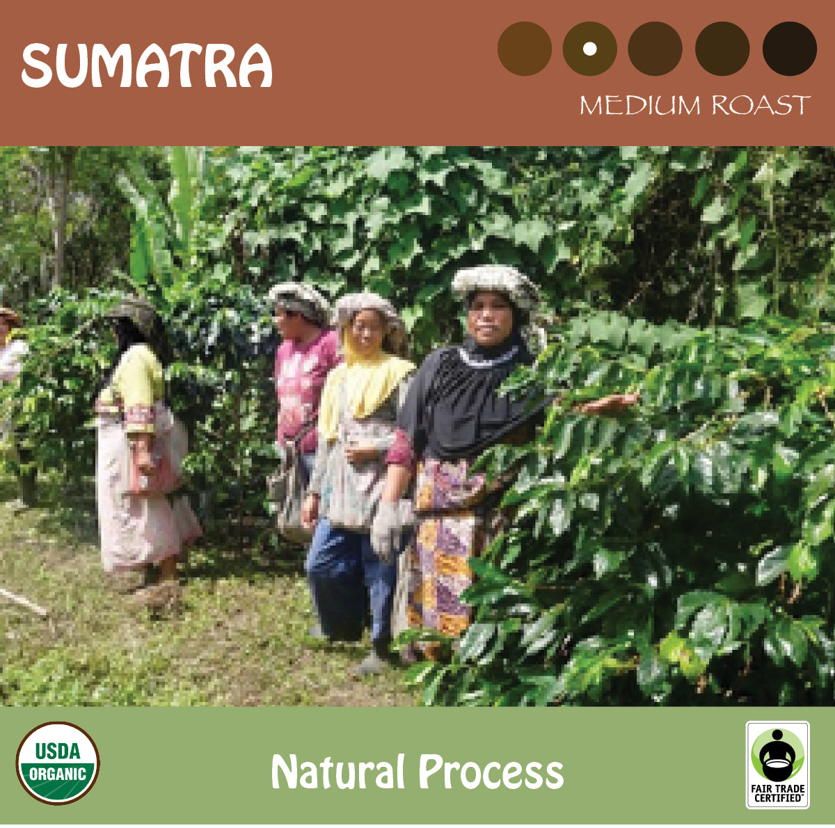 Sumatra – Signature Organic Coffee